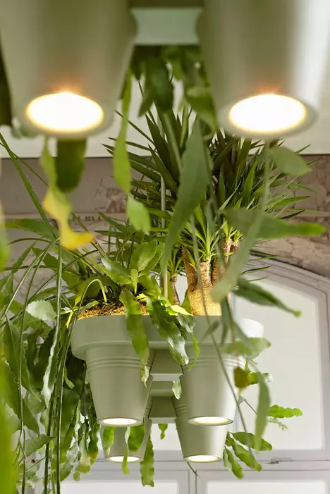 Roderick Vos mendesain kombinasi pot tanaman, lampu, dan soket listrik