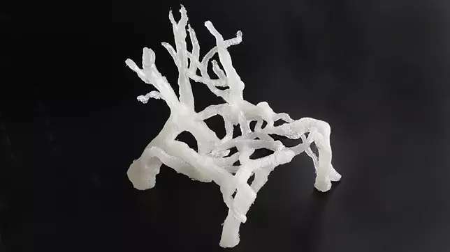 Entrevista a Eric Klarenbeek sobre mobles feitos de fungos impresos en 3D