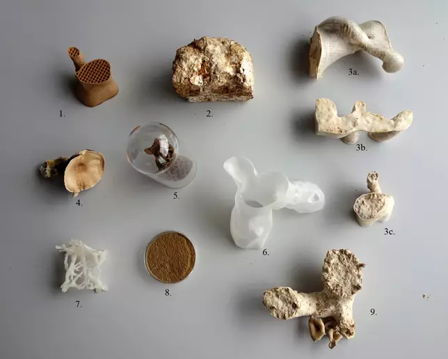مقابلة إريك كلارينبيك على الأثاث المصنوع من الفطريات ثلاثية الأبعاد