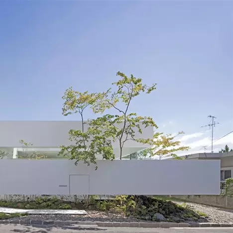 Sasaki Architecture premieňa japonskú diskotéku na kancelárie s plávajúcimi stenami 44368_8