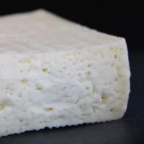 用人类细菌制成的奶酪重现了腋窝或脚的气味