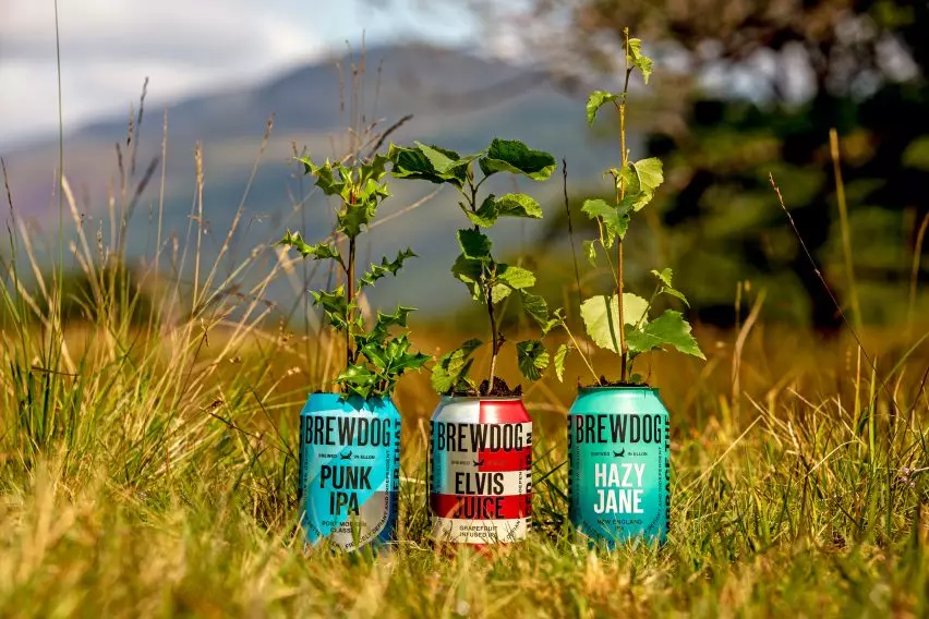 BrewDog wird CO2-negativ