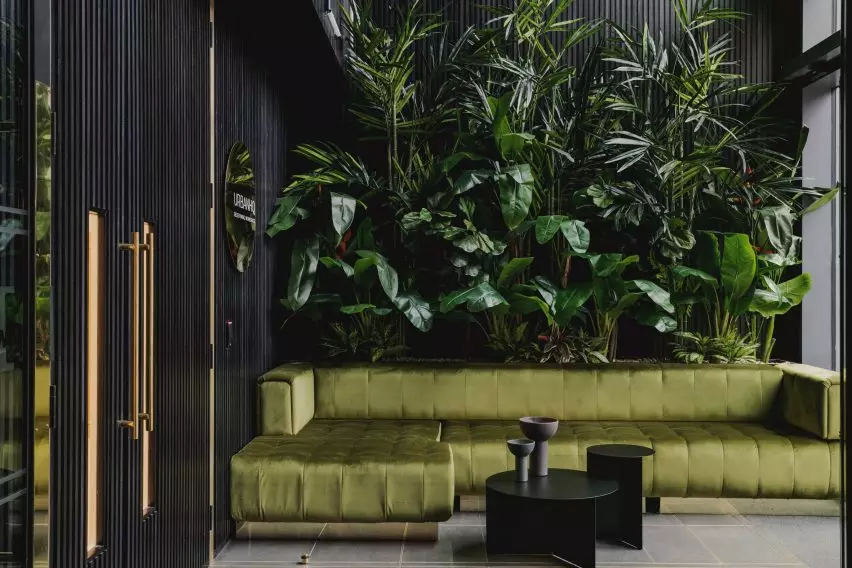 Un sofà verd davant d'una paret de plantes