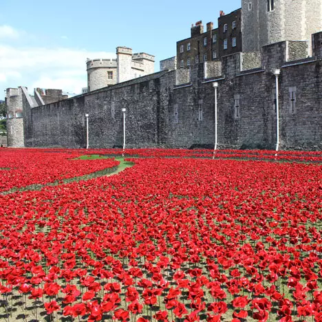 Крвта-избришана-земји-и-мориња-црвени-афион-инсталација-at-the-Tower-of-London_sq