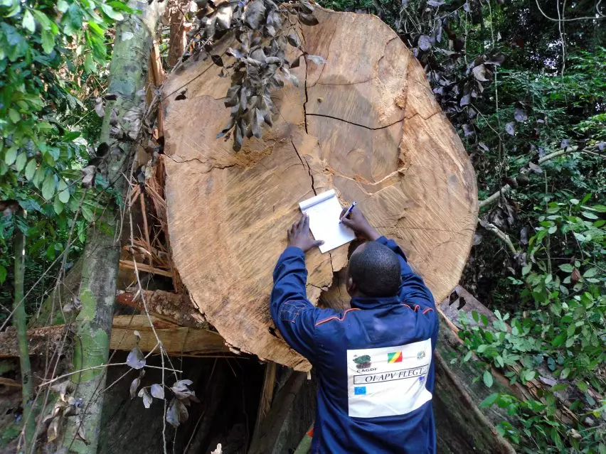 Timber Trade Federation's Conversations about Climate Change Competition