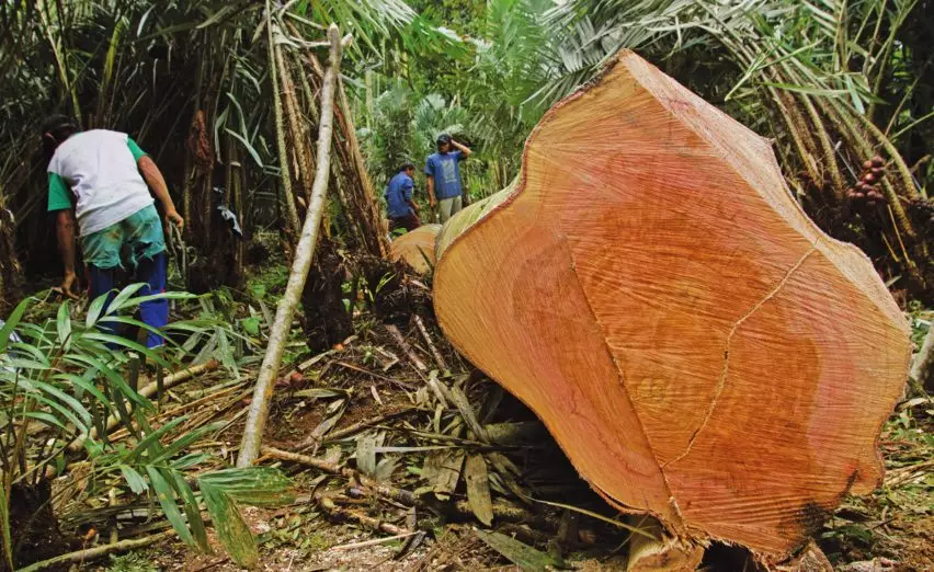 Awọn ibaraẹnisọrọ Timber Trade Federation nipa idije Iyipada Afefe