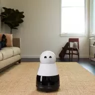 Kuri-robot