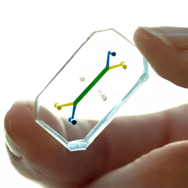 Human Organs-on-Chips de la Wyss Institute, Harvard University