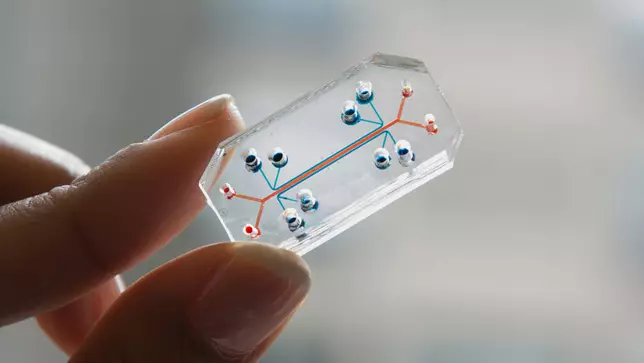 Human Organs-on-Chips de la Wyss Institute, Harvard University