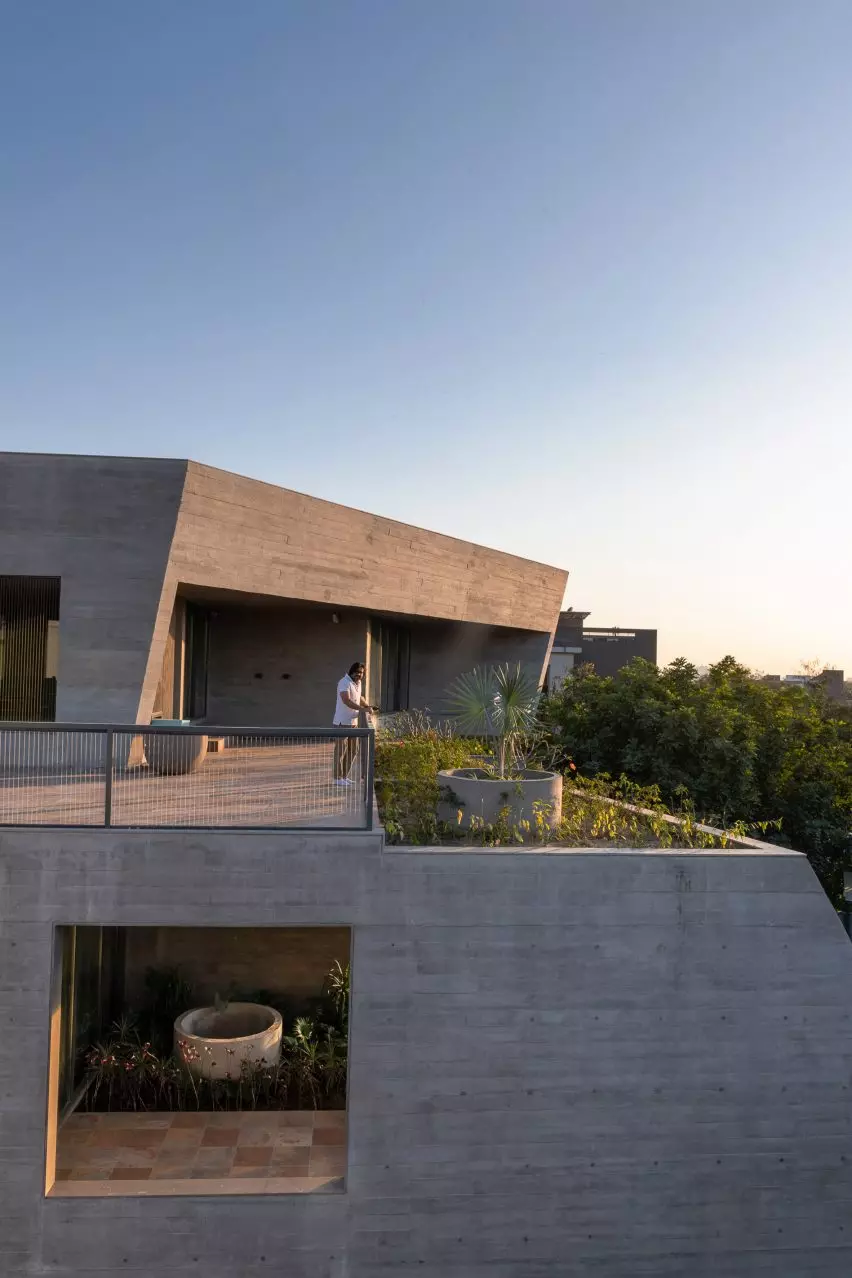 Immagine di una terrazza piantumata a Beton Brut