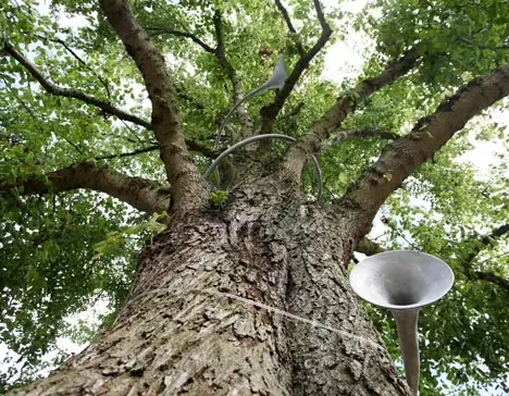 ಸ್ಟುಡಿಯೋ ವೀವ್ನಿಂದ ದಿ ಹಿಯರ್ ಹಿಯರ್ಸ್