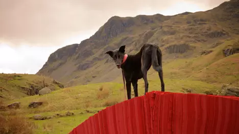 Steve Messam မှ Paperbridge