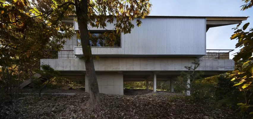 Skog och hus av JHWIROJE Arkitekter & Planerare