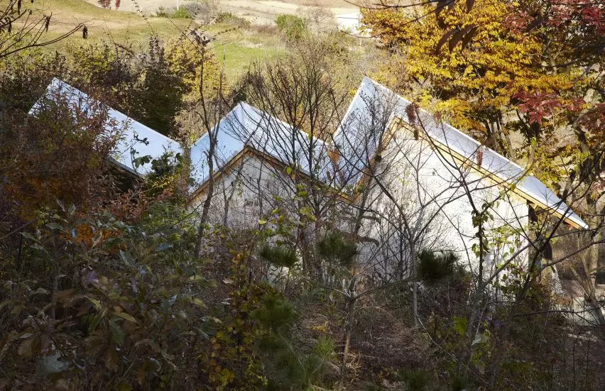 Skog och hus av JHWIROJE Arkitekter & Planerare