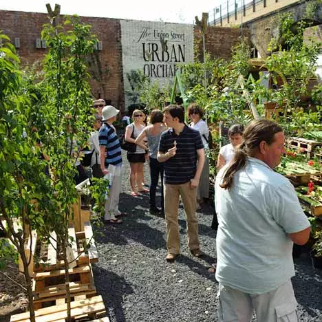 Urban Orchard Heather Ring-en eskutik