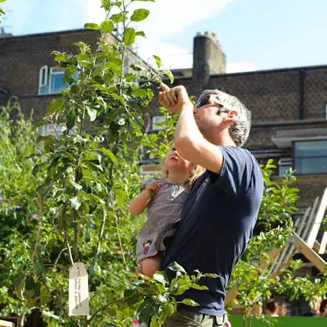 Urban Orchard av Heather Ring