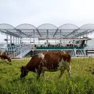 Floating Farm f'Rotterdam