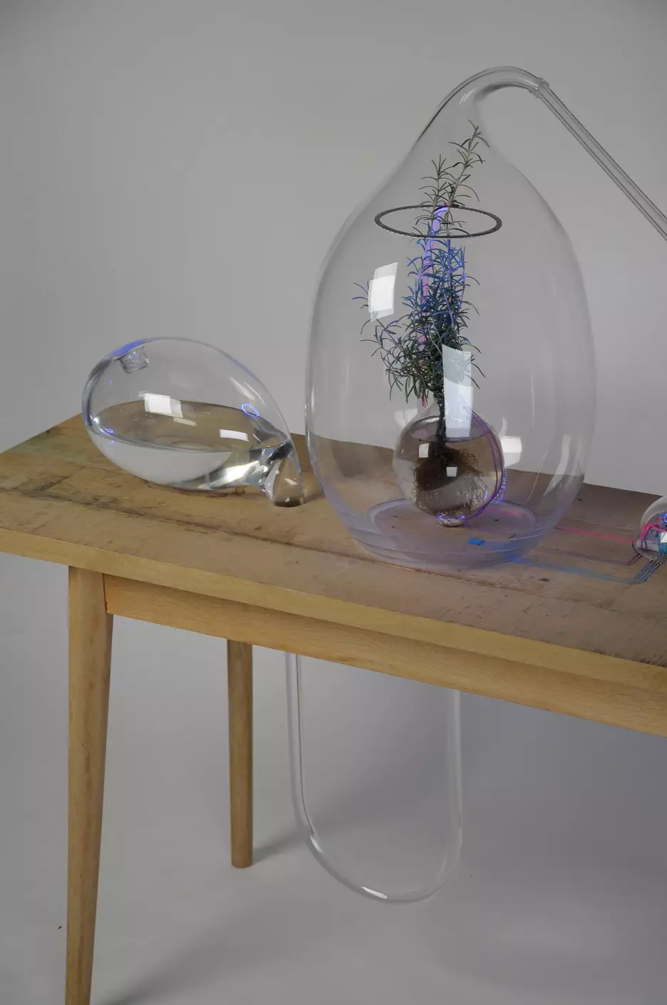 Vegetalize Air Culture Lab ka-Sarah Daher Yeviki Le-Dutch Design lango-2015