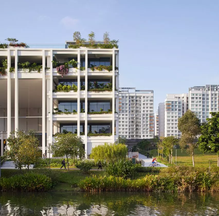 Oasis Terraces por Serie e Multiply Architects