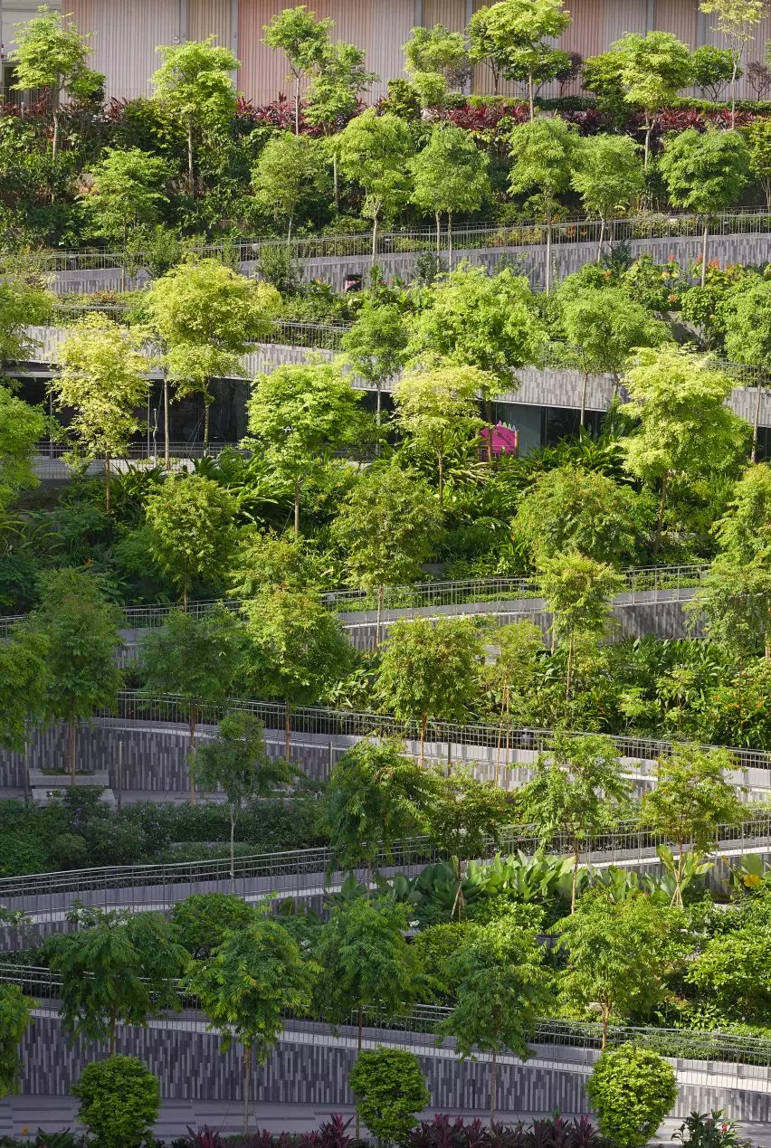 Oasis Terraces ni Serie ug Multiply Architects