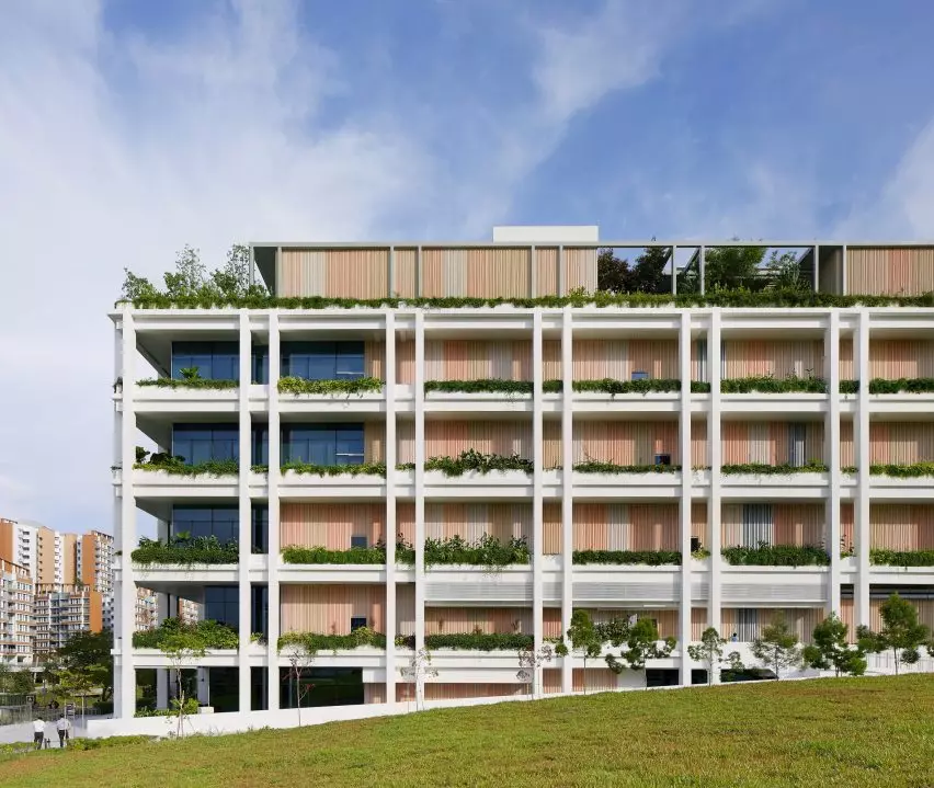 Oasis Terraces ni Serie ug Multiply Architects