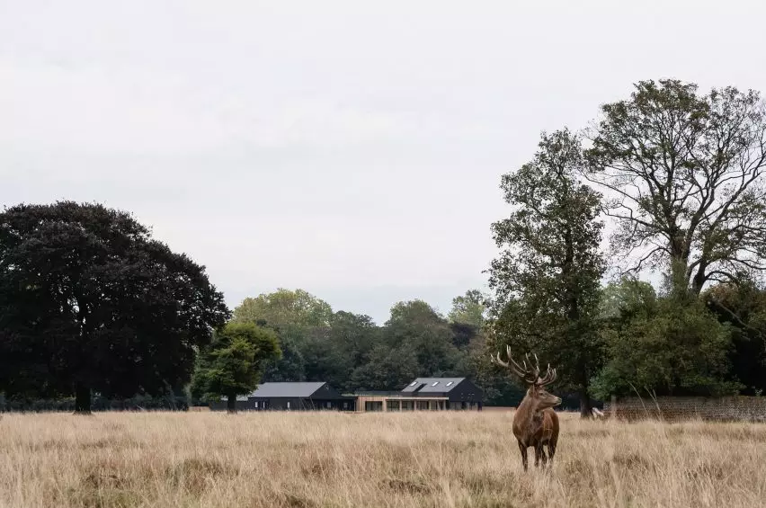 Teddington Cricket Club na Bushy Park