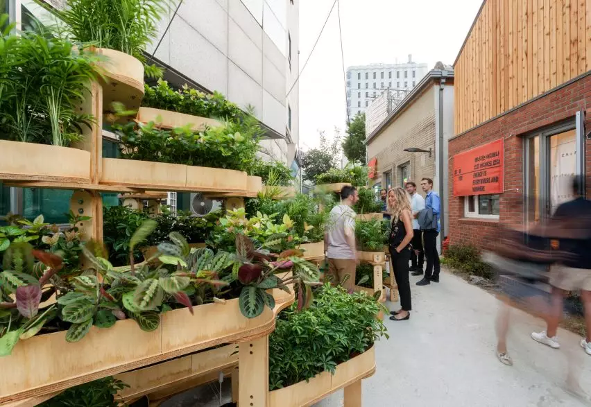 Instalación Growmore de Husum y Lindholm Architects en la Bienal de Seúl.