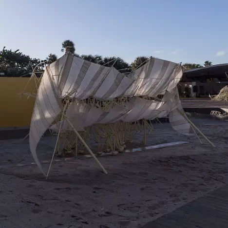 Theo Jansen 的 Strandbeest