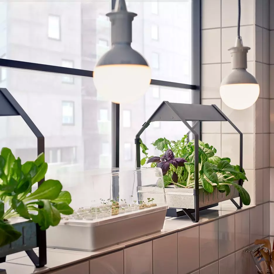 Ikea ṣafihan ohun elo ọgba inu ile hydroponic kan