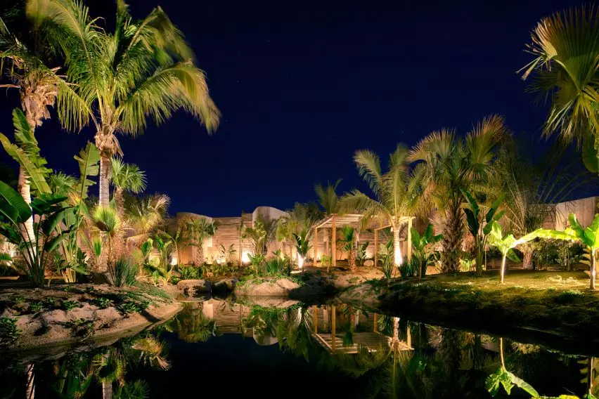 Decenas de plantas endémicas decoran o lugar do hotel