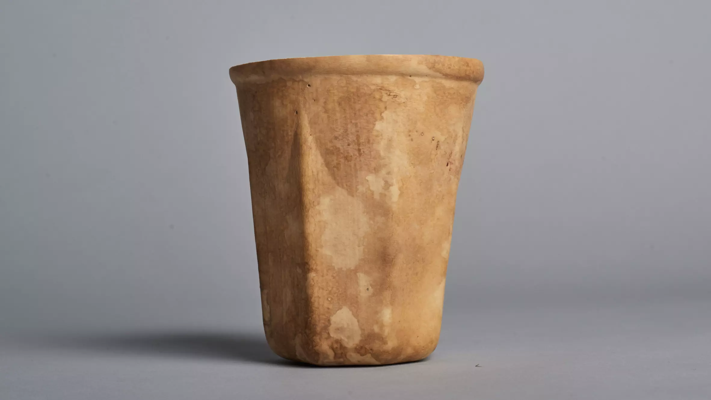Creme cresce cabaças em moldes para criar HyO-Cup biodegradável