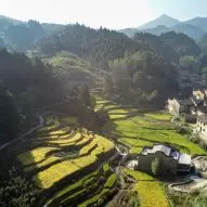 Libreria Xiadi Paddy Field di Librairie Avant-Garde di TAO