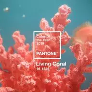 Living Coral es el color del año de Pantone para 2019