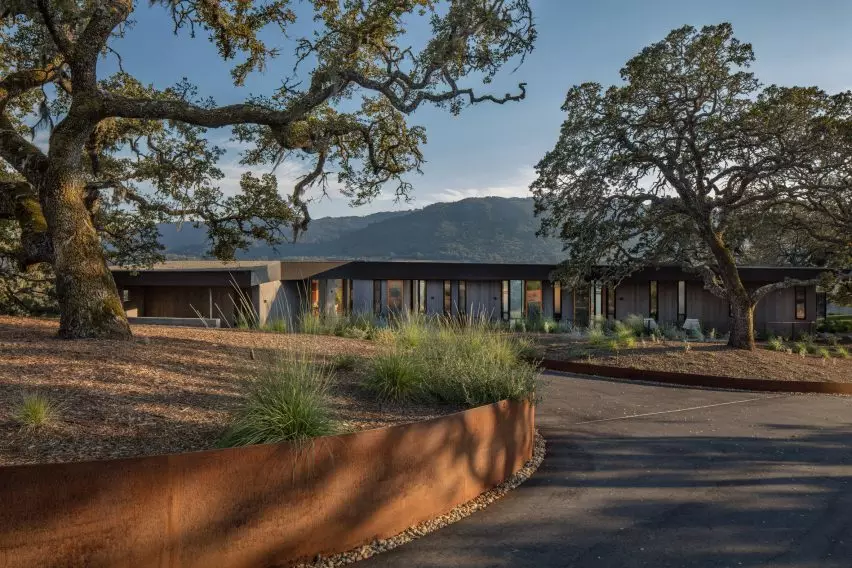 Lichen House ni Schwartz ug Architecture