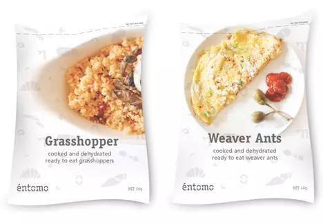 Dizajn web stranice Entomo promovira insekte kao hranu