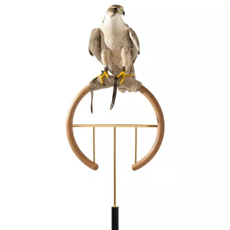 Falconry perches dening Posa