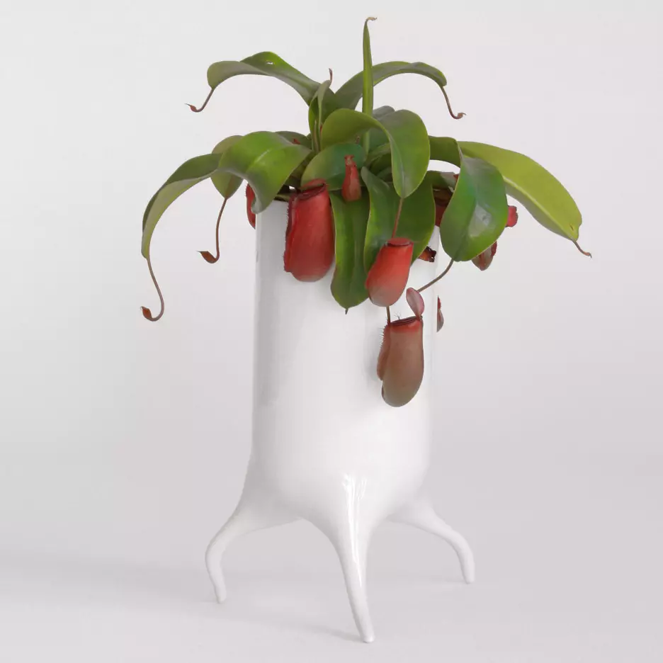 The Carnivora Plant Pots by Tim Van de Weerd