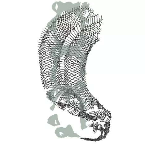 Snake&Molting legwear ku Camille Cortet