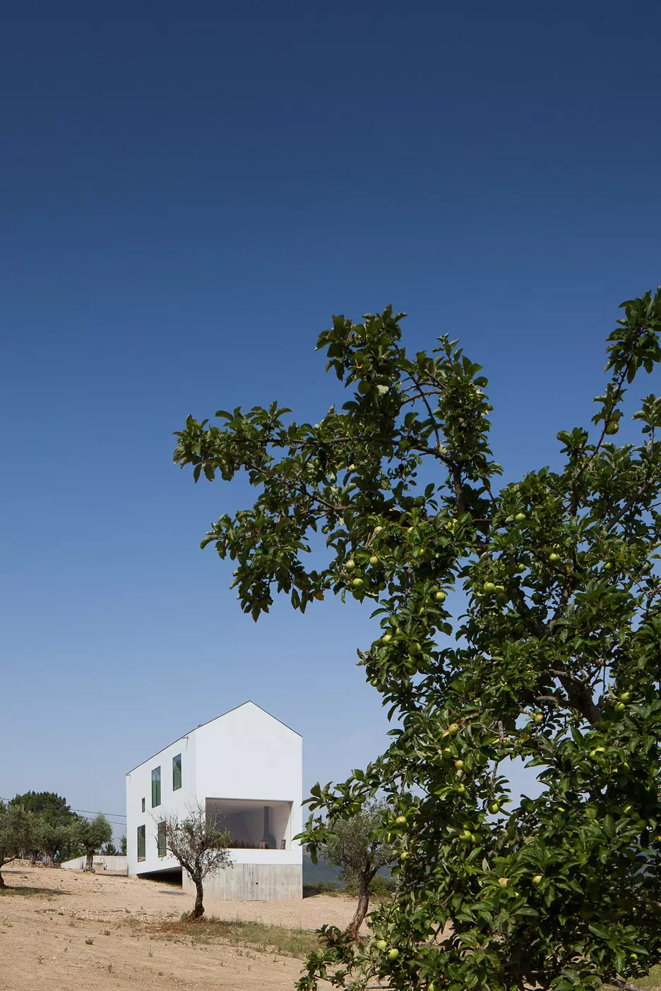 House in Fonte Boa ka Joao Mendes Ribeiro