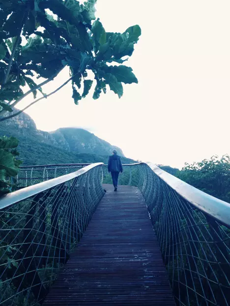 La pasarela del dosel Boomslang por Mark Thomas y Henry Fagan