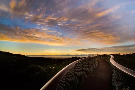 I-Boomslang walkway ka-Mark Thomas no-Henry Fagan