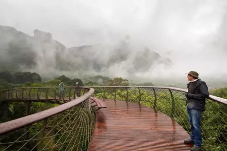 La pasarela del dosel Boomslang por Mark Thomas y Henry Fagan