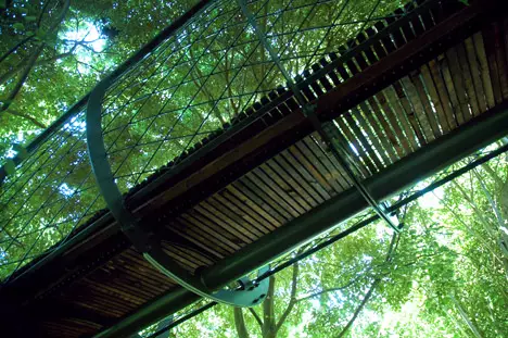 La pasarela del dosel Boomslang por Mark Thomas y Henry Fagan