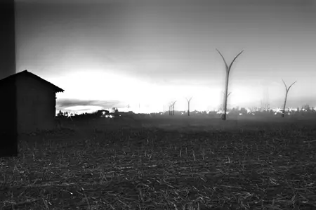 Pylons of the Future Dancing with Nature door Hugh Dutton Associés 75915_4