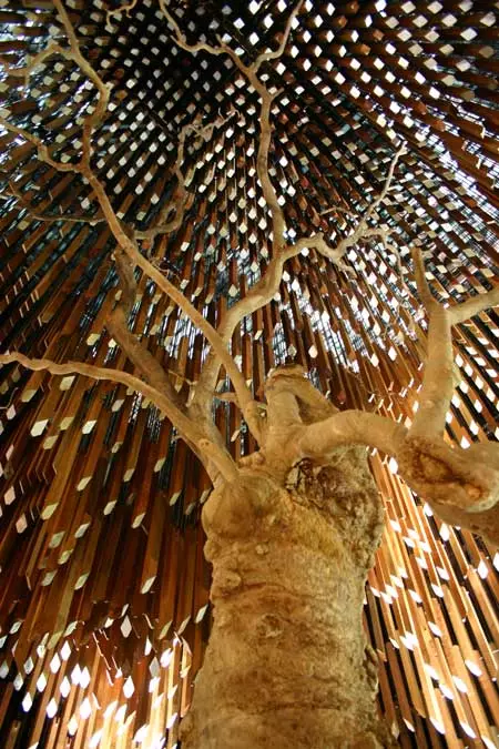 Memoriale per l'albero della conoscenza di m3architecture e Brian Hooper 84594_2