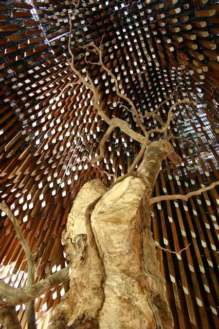 Memorial kanggo Tree of Knowledge dening m3architecture lan Brian Hooper 84594_7