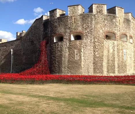 Pag-install ng Blood Swept Lands at Seas of Red poppies sa Tower of London