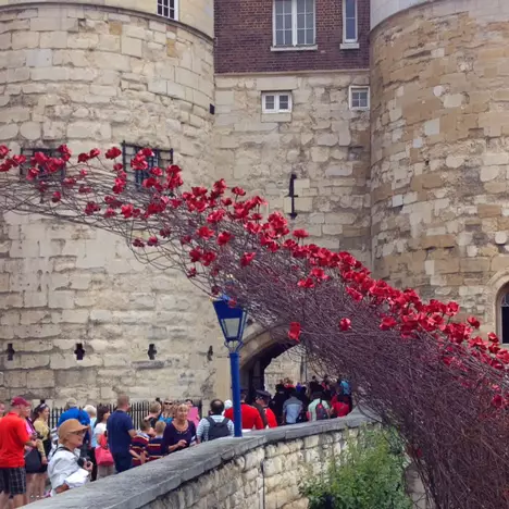 Pag-install ng Blood Swept Lands at Seas of Red poppies sa Tower of London