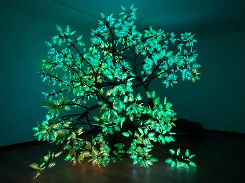 นิทรรศการ Studio Drift Coded Nature เปิดขึ้นที่ Stedelijk Museum Amsterdam 9443_6