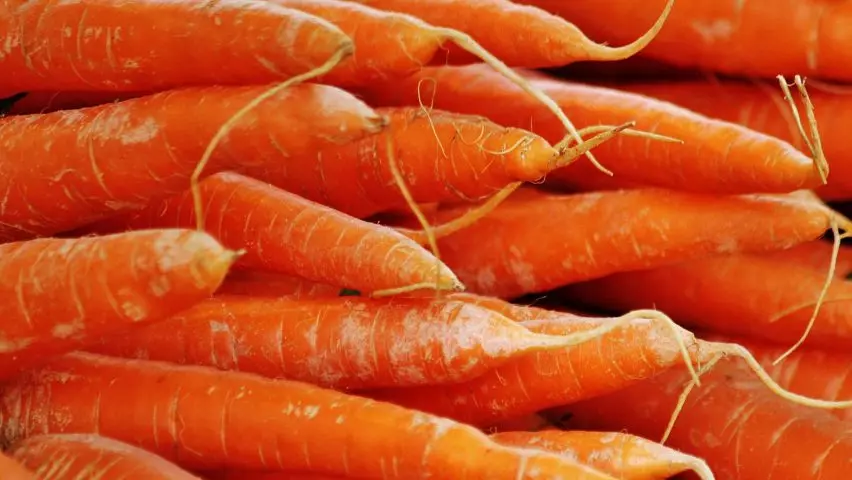 Cemento di carote